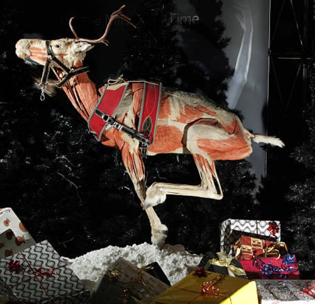 Reindeer and Angels