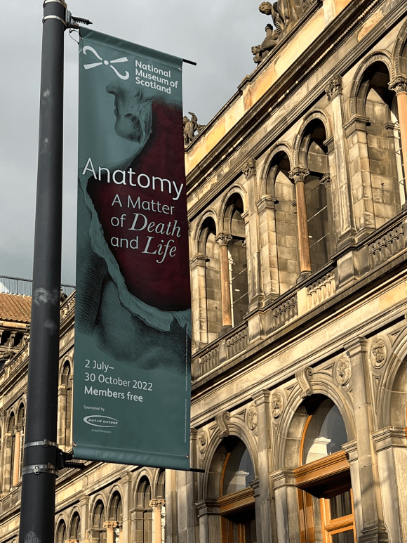 Anatomy – A matter of Death and Life